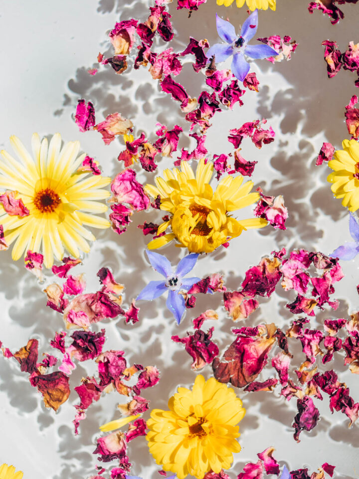 Easy 3 Ingredient Rosewater Toner - Wholehearted Eats