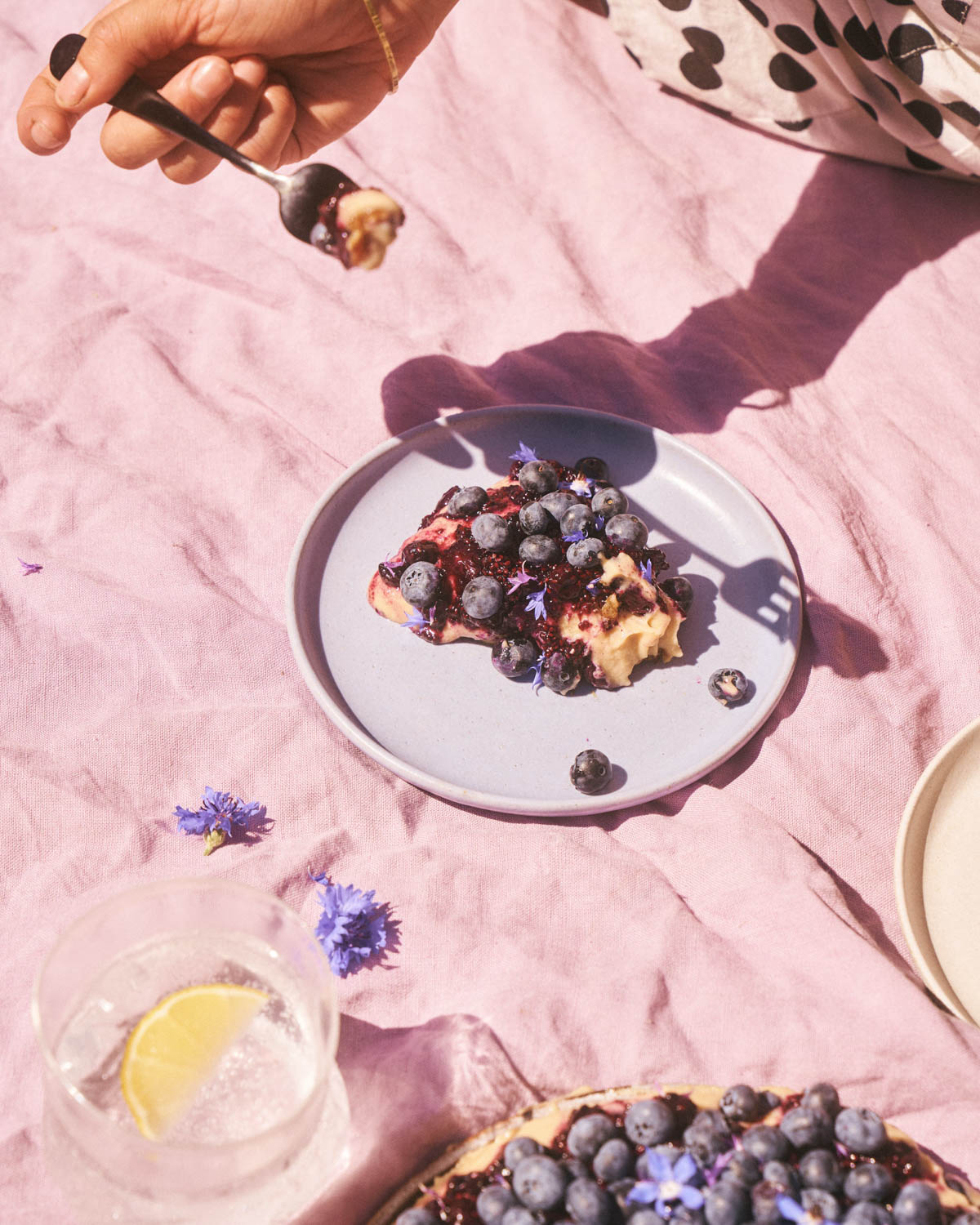 Blueberry Cashew Cheesecake (No Bake) - Wholehearted Eats