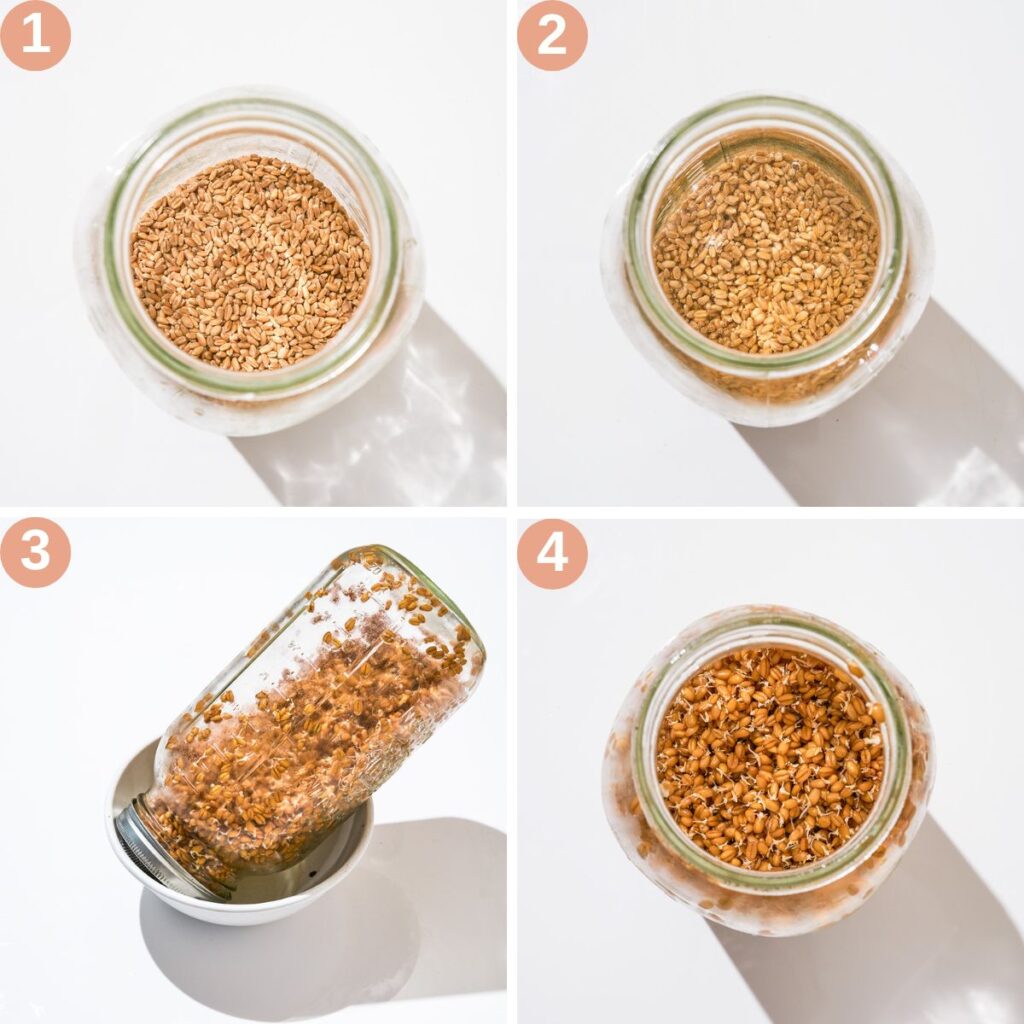 Simple 4 Ingredient Sprouted Bread (Manna Bread) - Wholehearted Eats