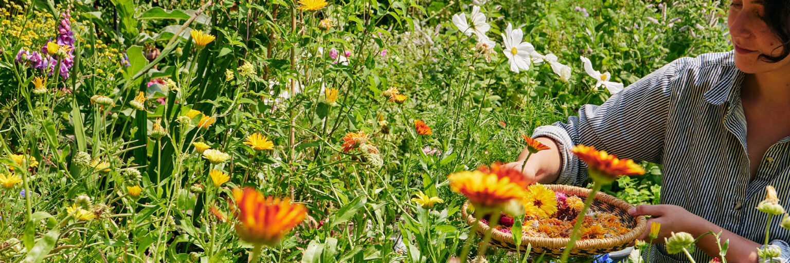 Recipe Index - Wholehearted Eats